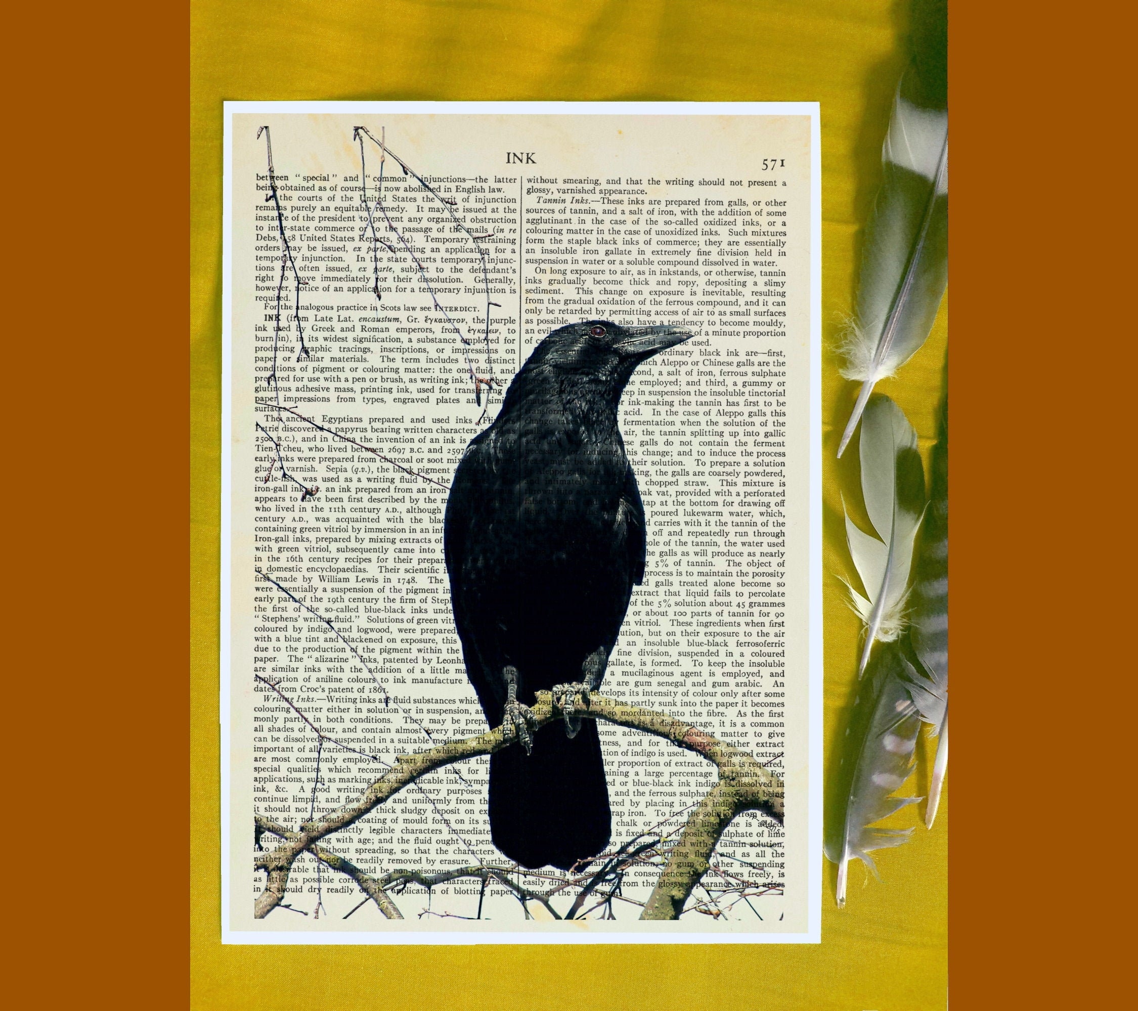 Perched Crow Book Page Reproduction Crow Art Raven Edgar | Etsy