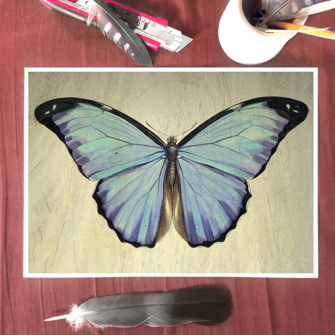 Boho Butterfly Art, Butterfly Art Print, Eclectic Decor, Nature Lovers ...
