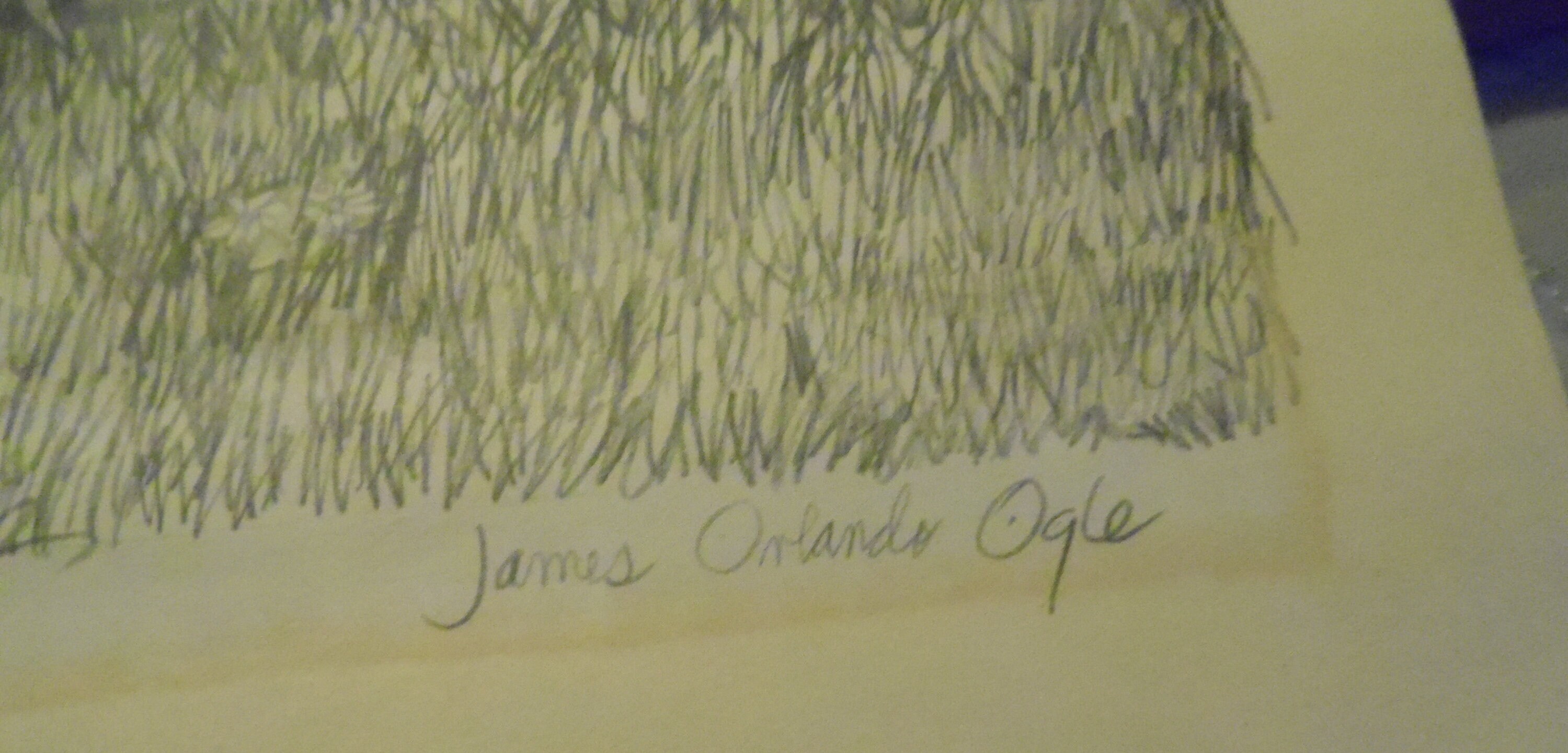 1983 Vintage Limited Edition Print by James Orlando Ogle Signed Framed ...