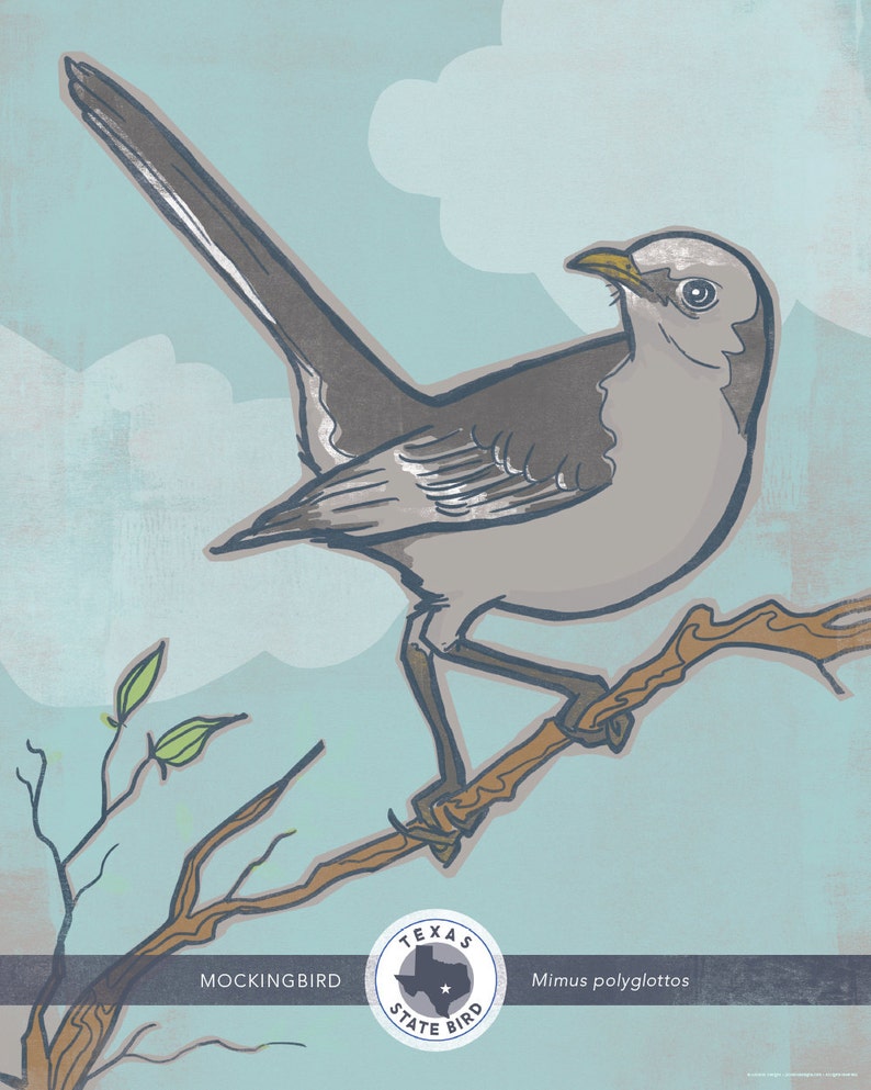 Illustrated Texas State Bird Print - Etsy