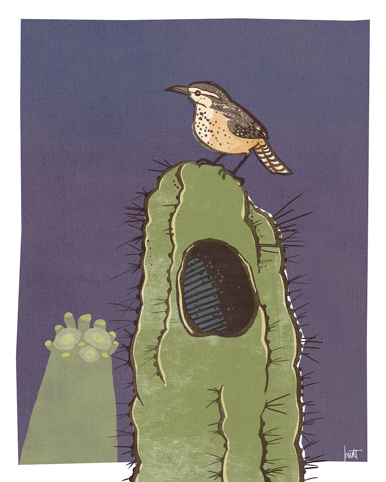 Illustrated Cactus Wren Bird Print - Etsy
