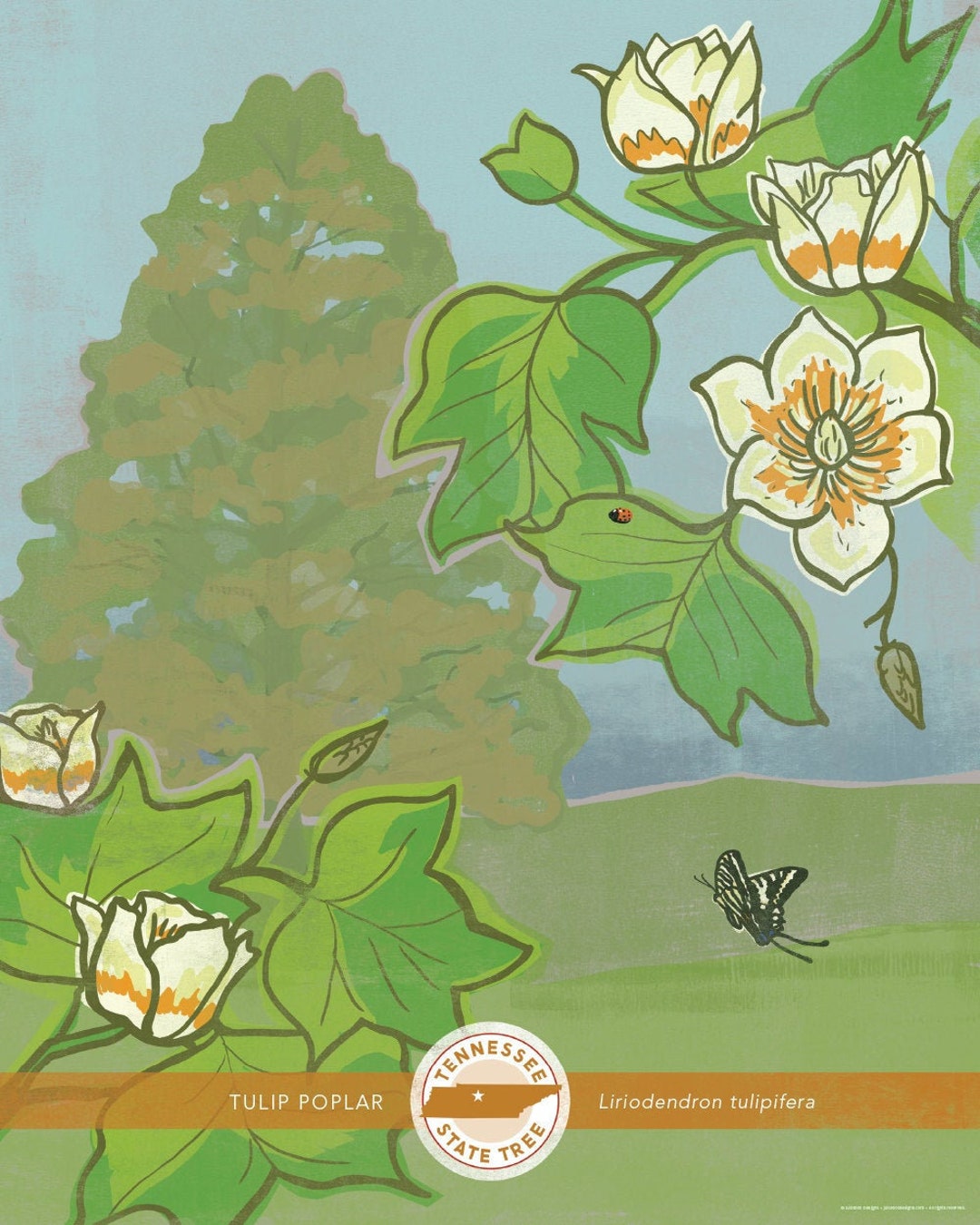 Illustrated Tennessee State Tree Print - Etsy