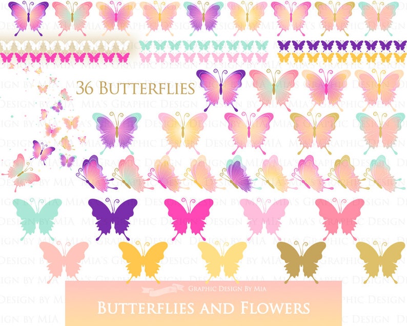 Butterfly, Butterflies and Flowers, Flower, Blooming Flower, Spring ...