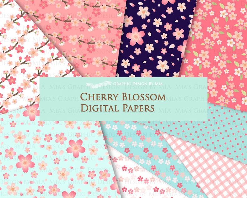 Cherry Blossom, Cherry Blossom Flower, Sakura, Sakura Flower, Spring ...
