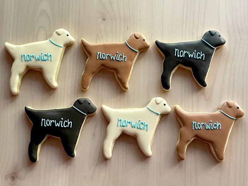 Veterinary Theme Cookies, Brown Lab Dog Theme, Pet Party Favors, Vet ...