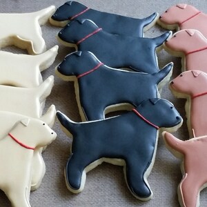 Veterinary Theme Cookies, Brown Lab Dog Theme, Pet Party Favors, Vet ...