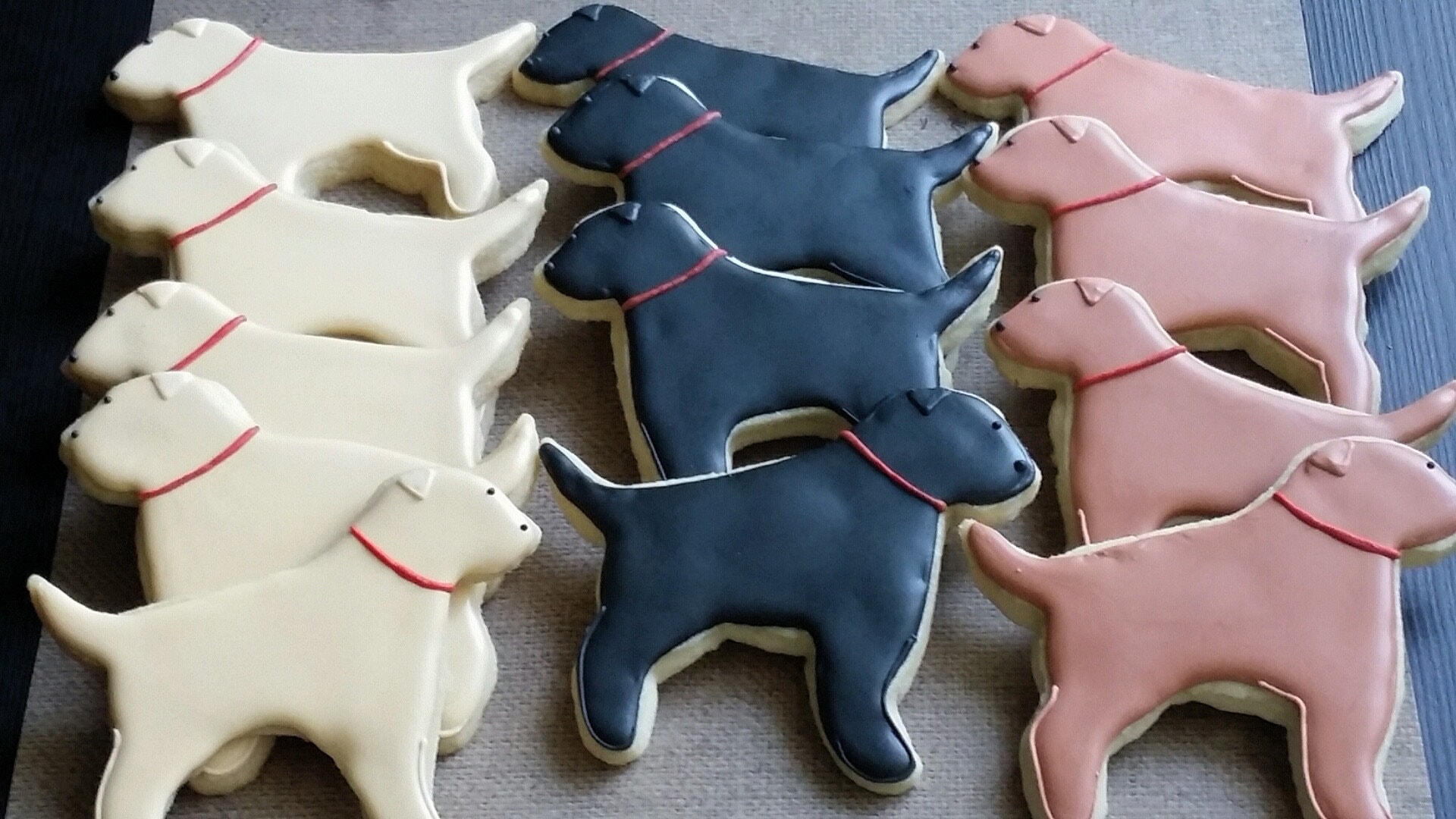 Veterinary Theme Cookies, Brown Lab Dog Theme, Pet Party Favors, Vet ...