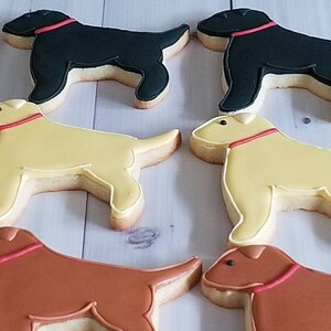 Veterinary Theme Cookies, Brown Lab Dog Theme, Pet Party Favors, Vet ...