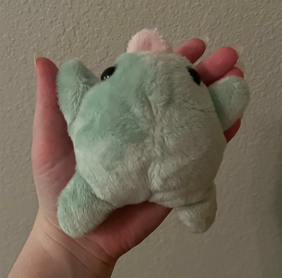 Star Frog Light Green - Etsy