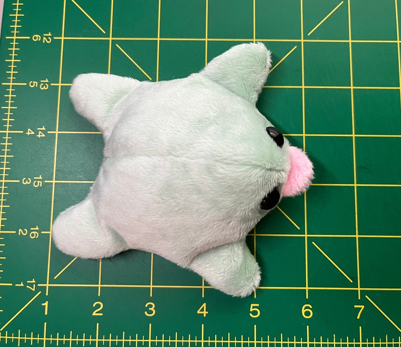 Star Frog Light Green - Etsy