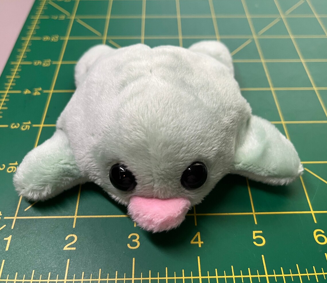 Star Frog Light Green - Etsy