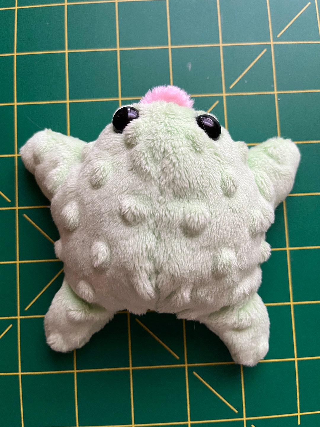 Star Frog Toad - Etsy