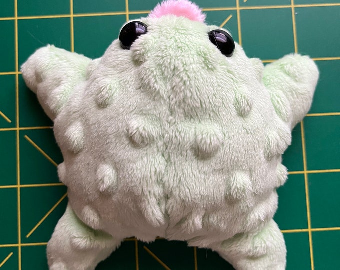 Star Frog Toad - Etsy