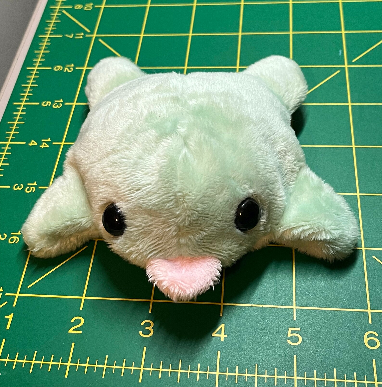 Star Frog Light Green - Etsy