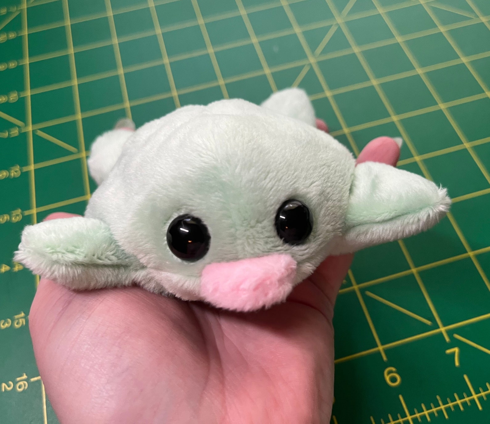 Star Frog Light Green - Etsy