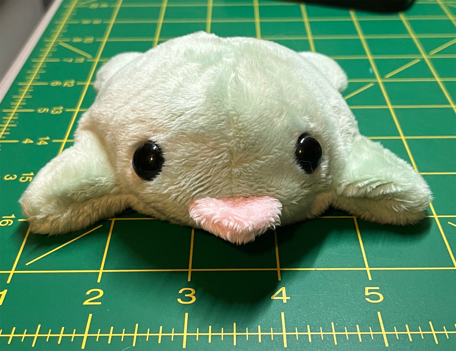 Star Frog Light Green - Etsy