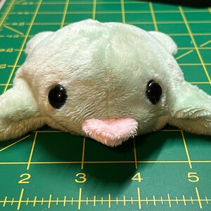 Star Frog Light Green - Etsy