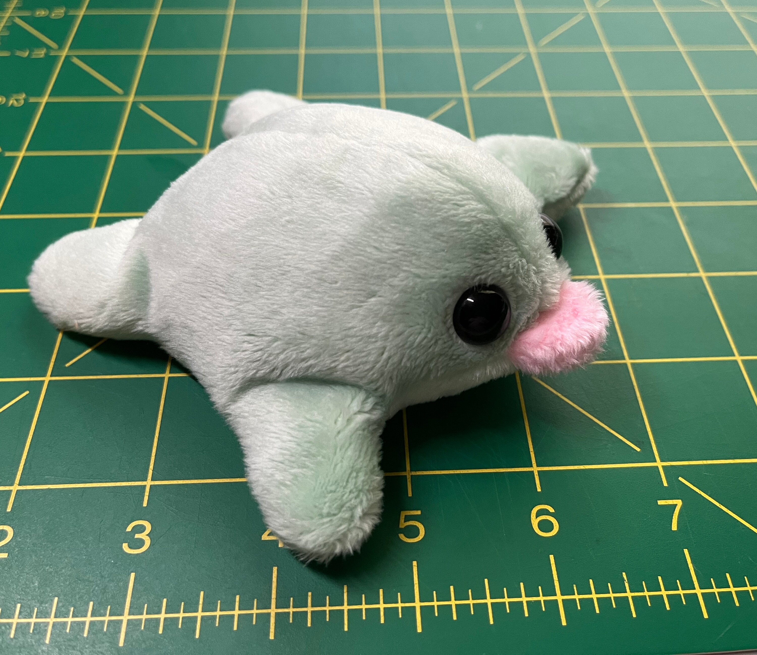 Star Frog Light Green - Etsy