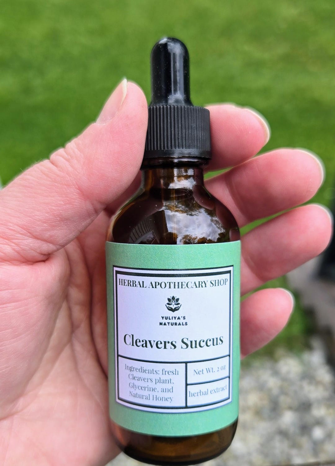 Organic Cleavers Infused Honey (gentle Purifying Tonic) - 2 Fl Oz - Etsy