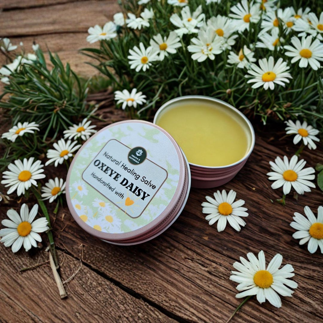 Oxeye Daisy Herbal Healing Salve for Dry Cuticles and Chapped Lips - Etsy