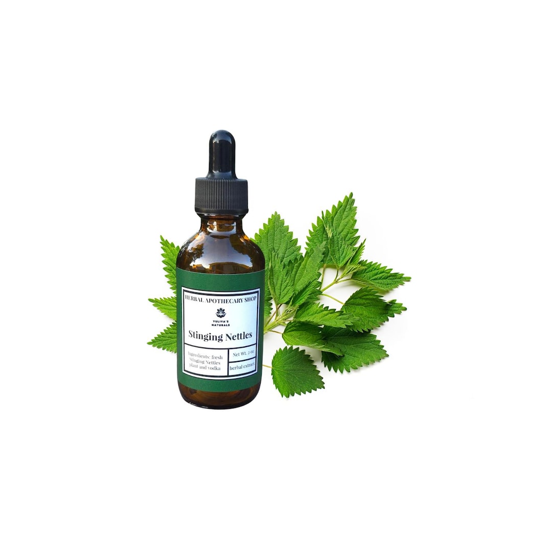 Fresh Nettle Tincture - 2 Fl Oz - Plant in a Bottle! - PRE-ORDER for ...