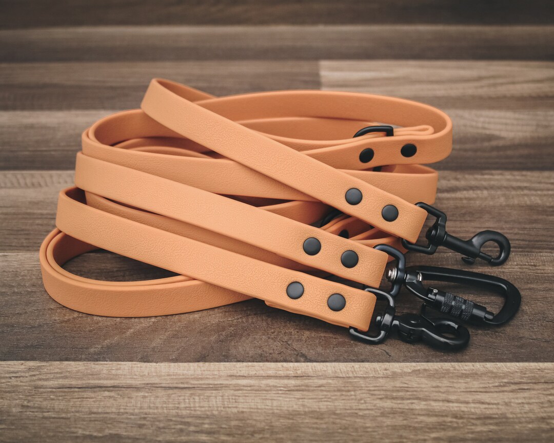 Onyx Aspen Yellow Leash - Waterproof Dog Leash - Pet Leash - Etsy