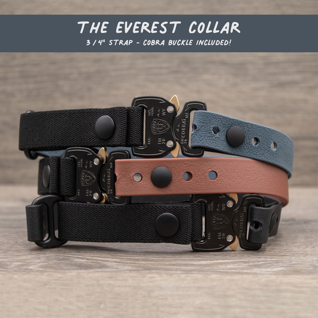 Everest E-collar Strap: 3/4" Waterproof Bungee Pet Collar With COBRA ...