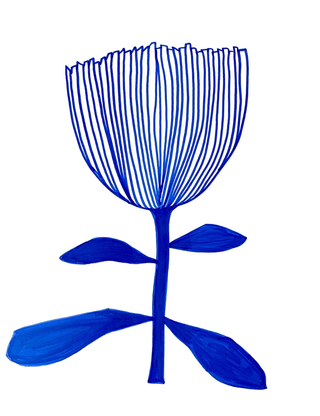 Royal Blue Lined Tulip Drawing by Jen Gareiss - Etsy