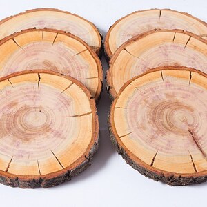 8 Wood Coasters 4 , Wooden Slices, Rustic Wedding Decoration, Wood ...
