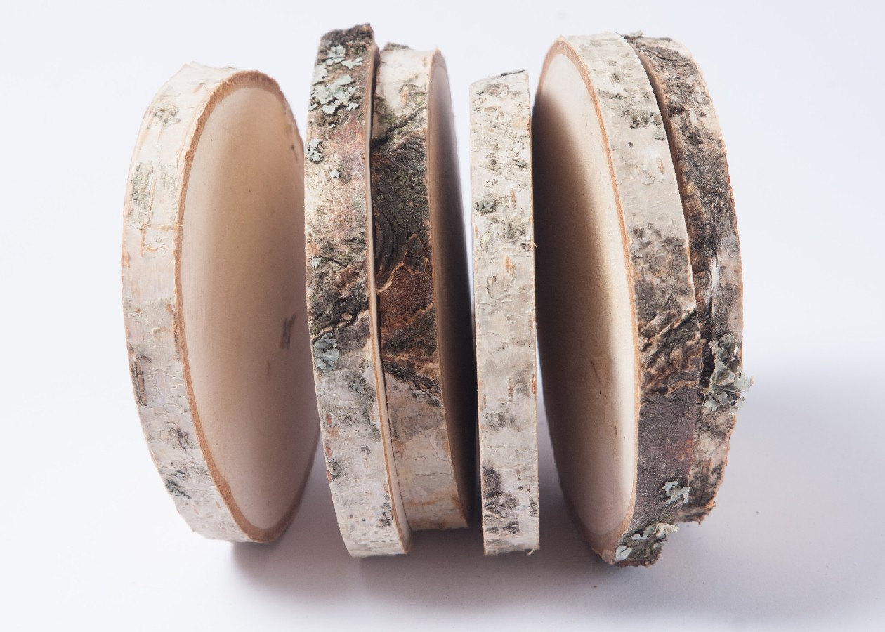 15 Birch Slices 45 Wooden Slices Rustic - Etsy