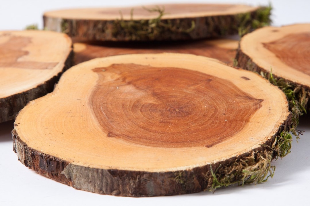 Wood Coaster 3"-4" , Wedding Coaster, Drink Coaster, Rustic Wedding ...