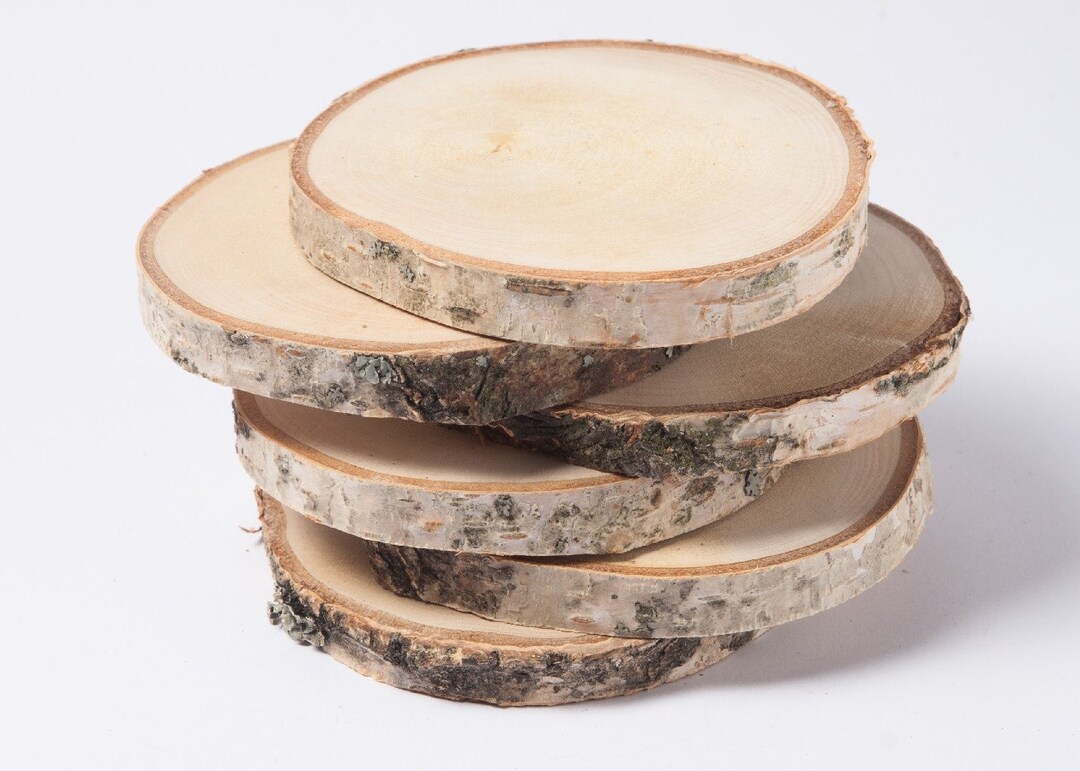 15 Birch Slices 2"- 3" , Wooden Slices, Rustic Wedding Decoration, Wood ...