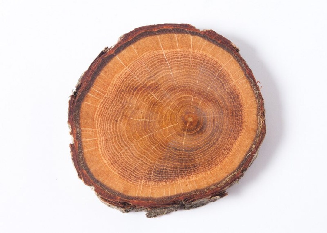 Wooden Coaster 3" 1/2, Wooden Disc, Tree Slice, Rustic Wedding Decor ...