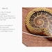 PDF Tutorial Bead Embroidered Ammonite, Beading Tutorial, Ammonite ...