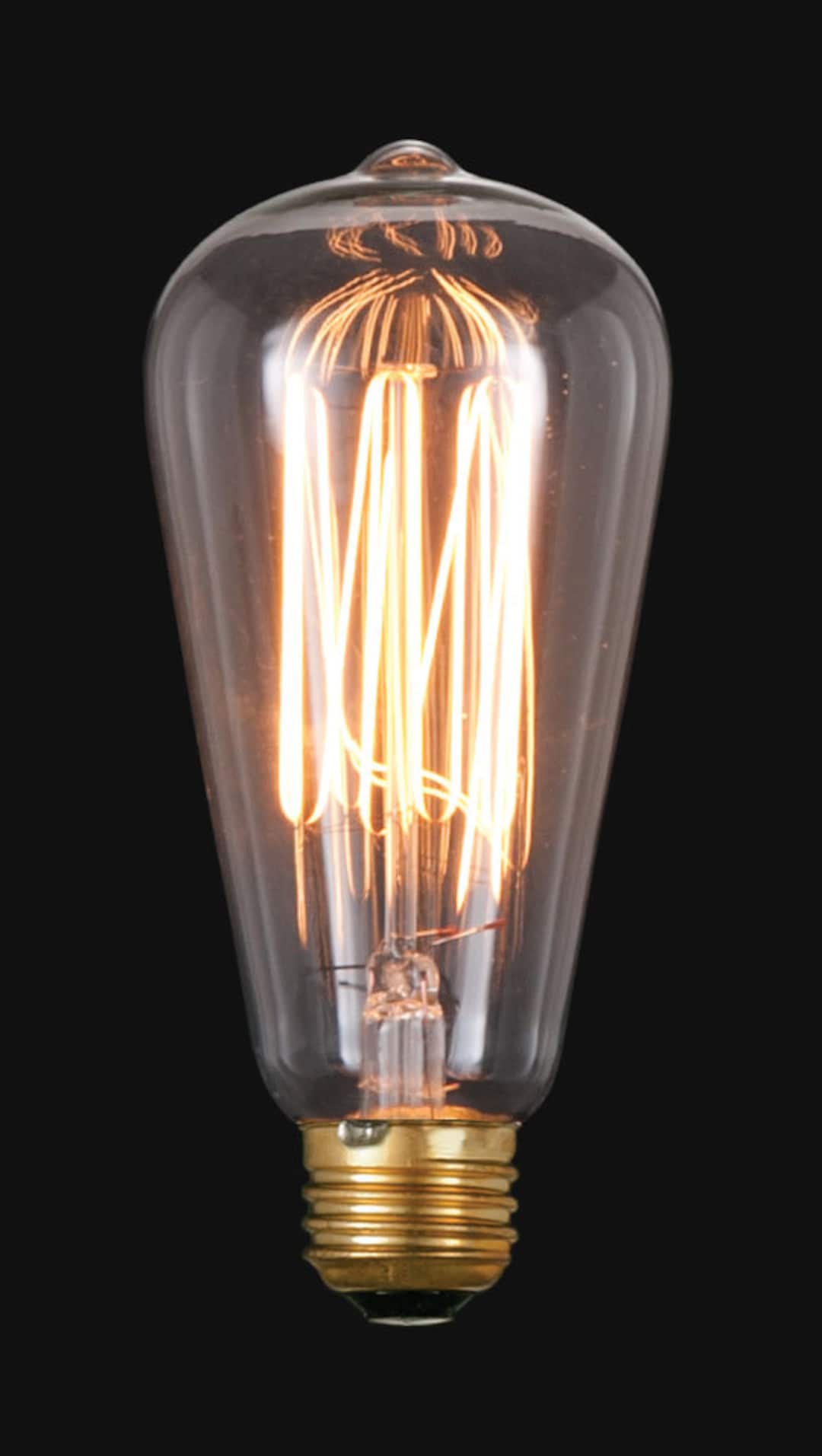 Vintage Edison Style 40 Watt "squirrel Cage" Light Bulb, 5" Tall ...