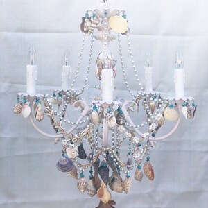 4 , 5 or 6 Arm Light Sea Shell Chandelier Custom Hand Made to Order ...