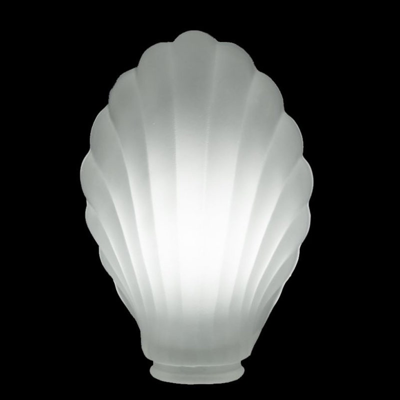 Clamshell Sconce - Etsy