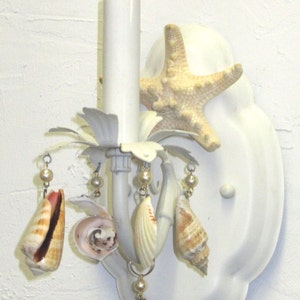 Beach Cottage Seashell Wall Sconce Shabby Shell Sconce Light Custom ...