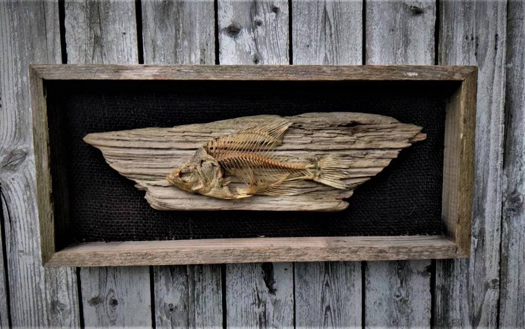 Burlap Fish, Fish Skeleton, Shadow Bow, Diorama, Wood & Fish Skeleton ...