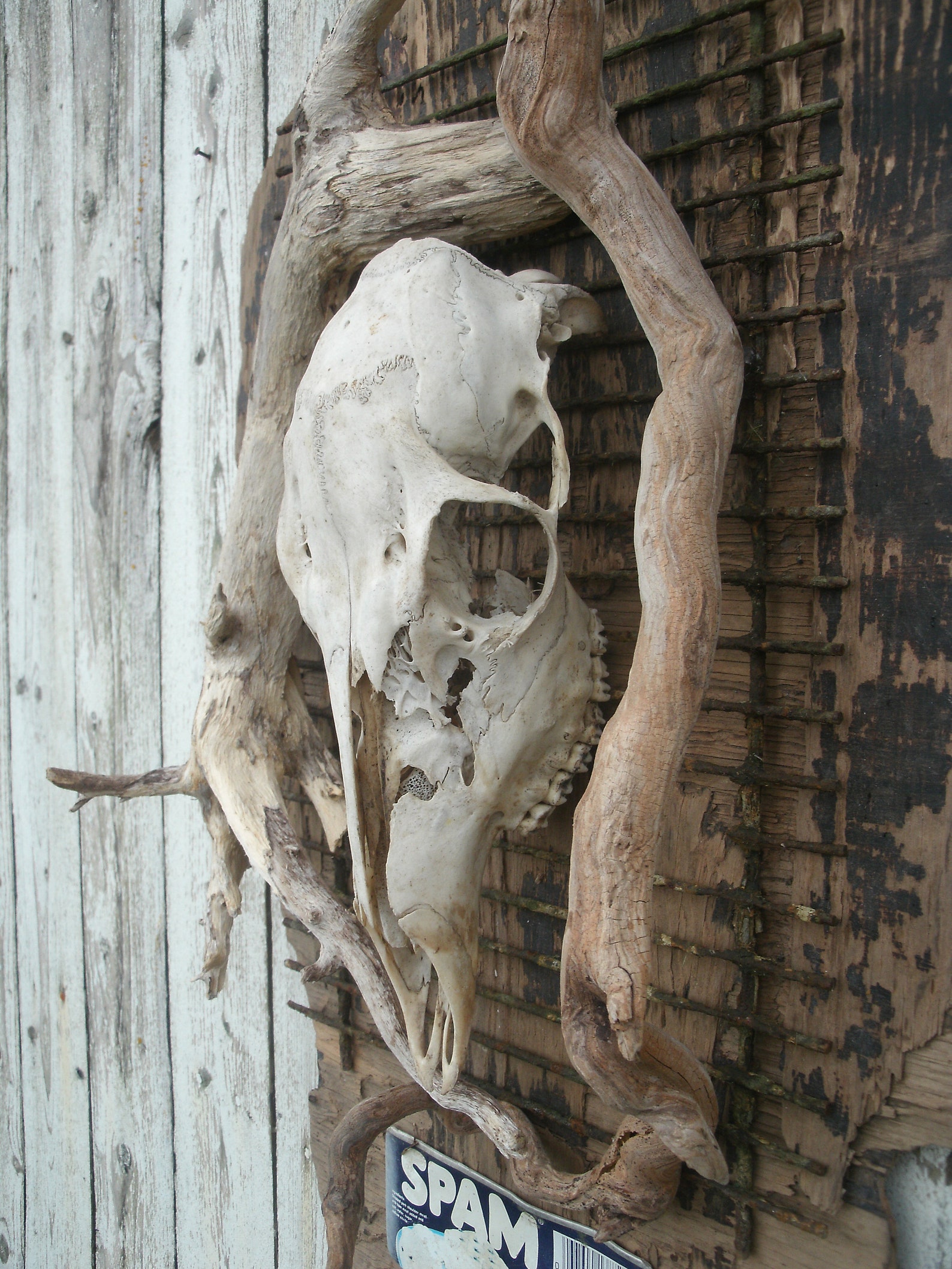 Spam Collage Drift Wood Barn Wood Rustic Rustic Art | Etsy