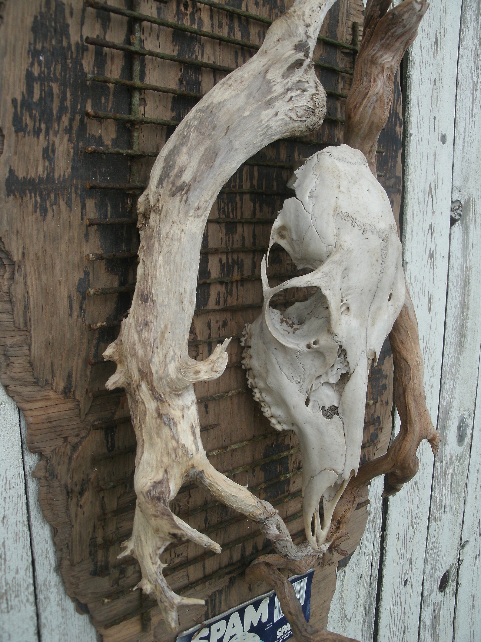 Spam Collage Drift Wood Barn Wood Rustic Rustic Art | Etsy