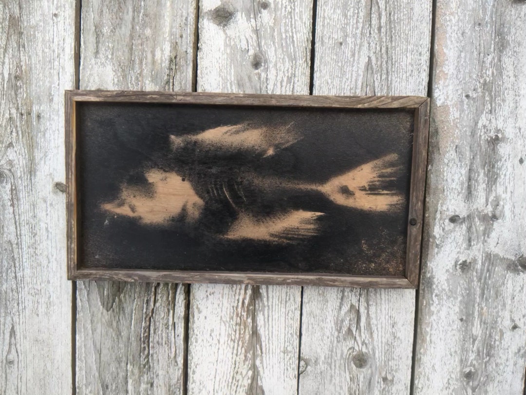 Blackfish, Black Fish, Fish Skeleton, Shadow Bow, Driftwood Art, Rustic ...