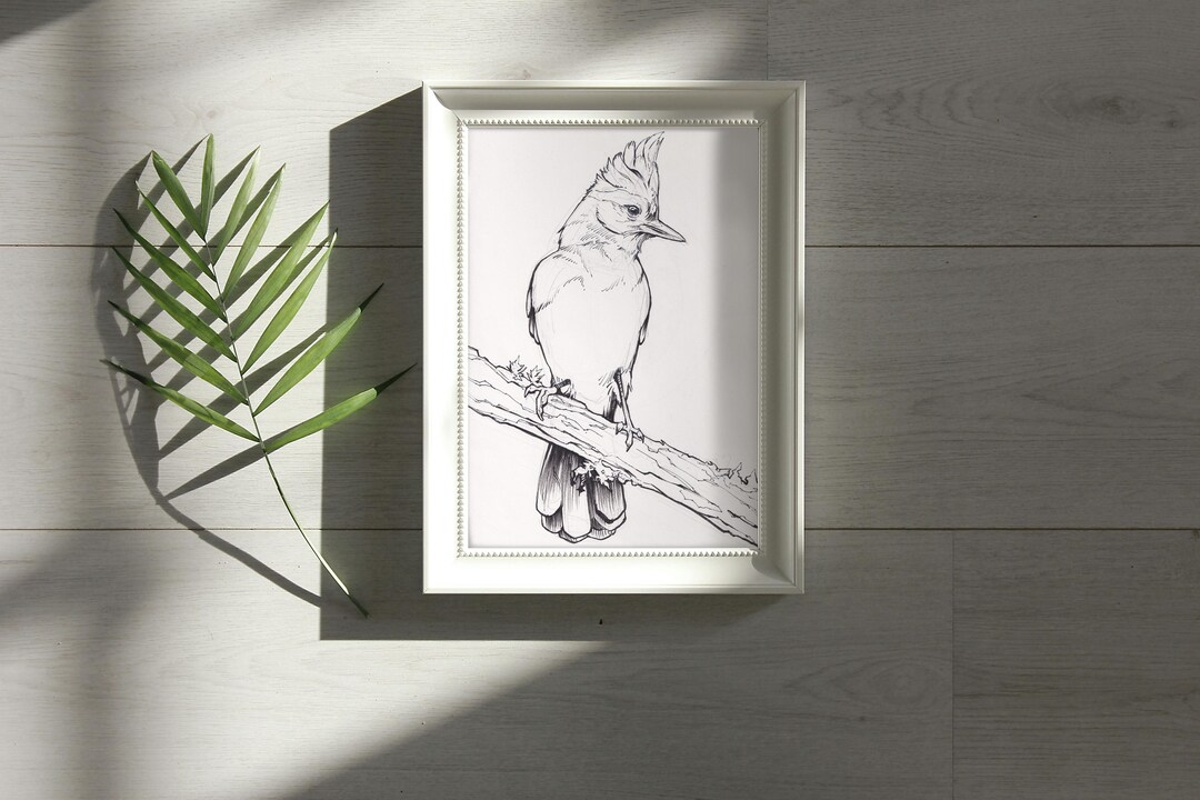 Stellar's Jay Traditional Art Print - Wall Decor Whimsical Surreal ...