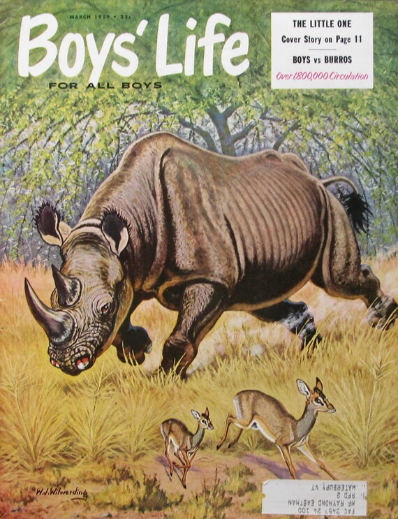 1959 Boys' Life Magazine Cover Retro Boy's Bedroom - Etsy España