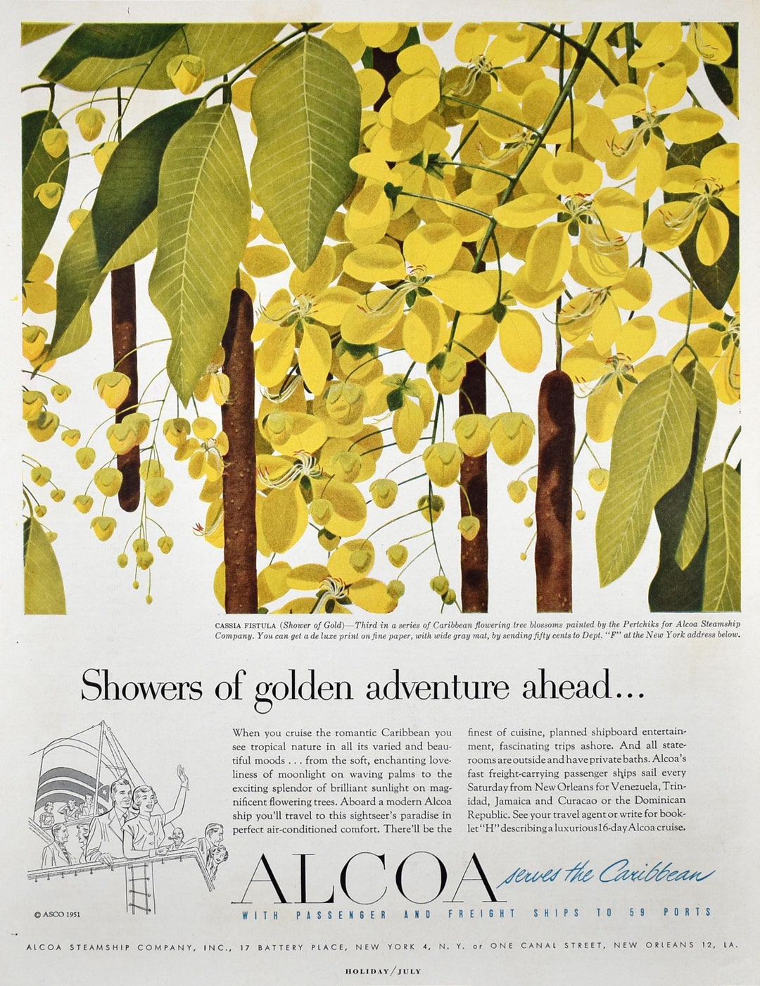 1951 Golden Showers Tree Botanical Art Print to Frame, Alcoa Cruise Ad ...