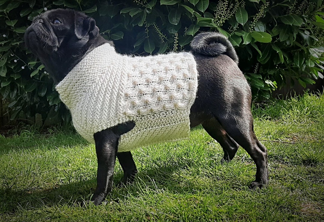 Violet's Pug Jumper Knitting Pattern - Etsy