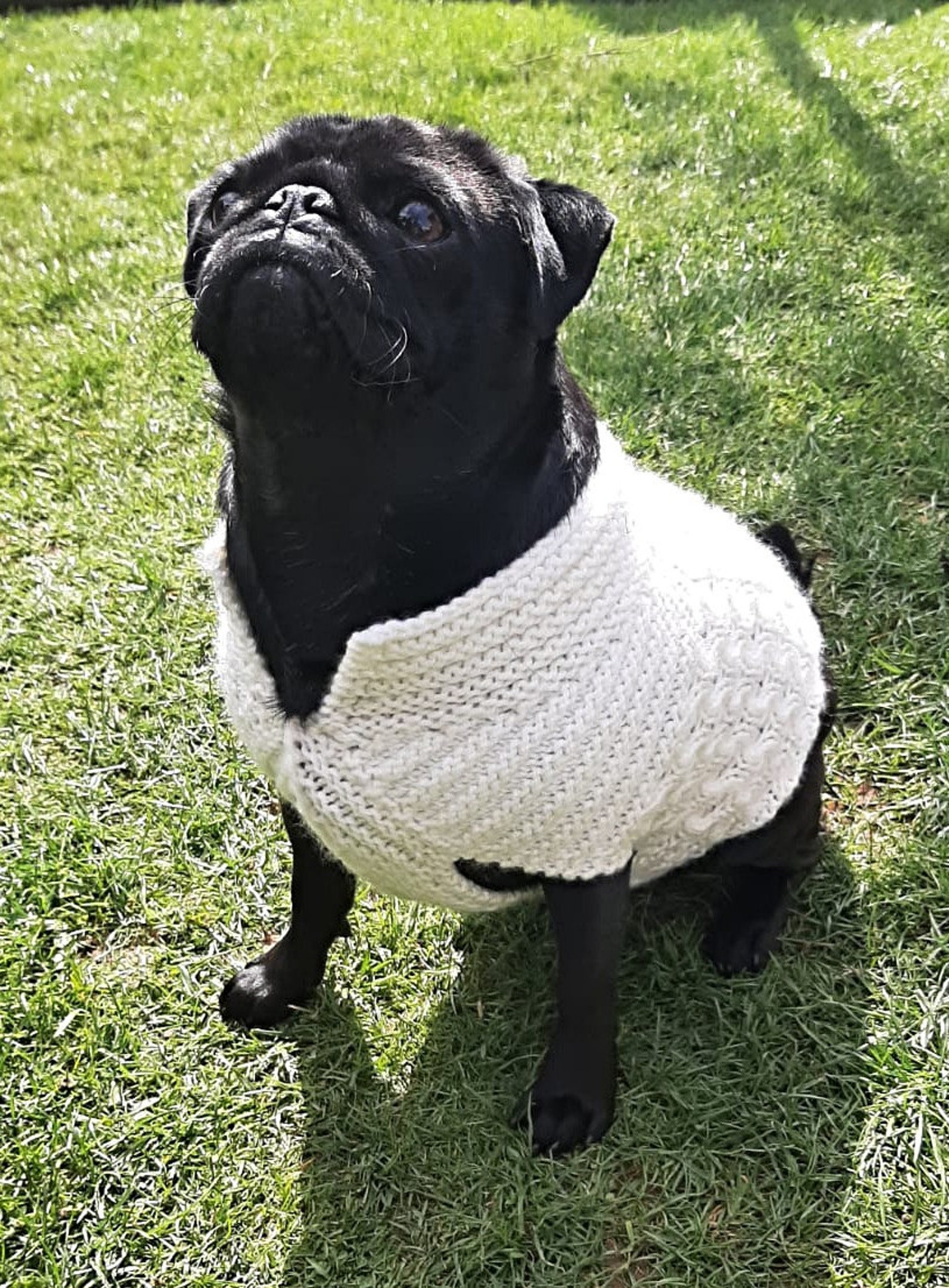 Violet's Pug Jumper knitting pattern | Etsy
