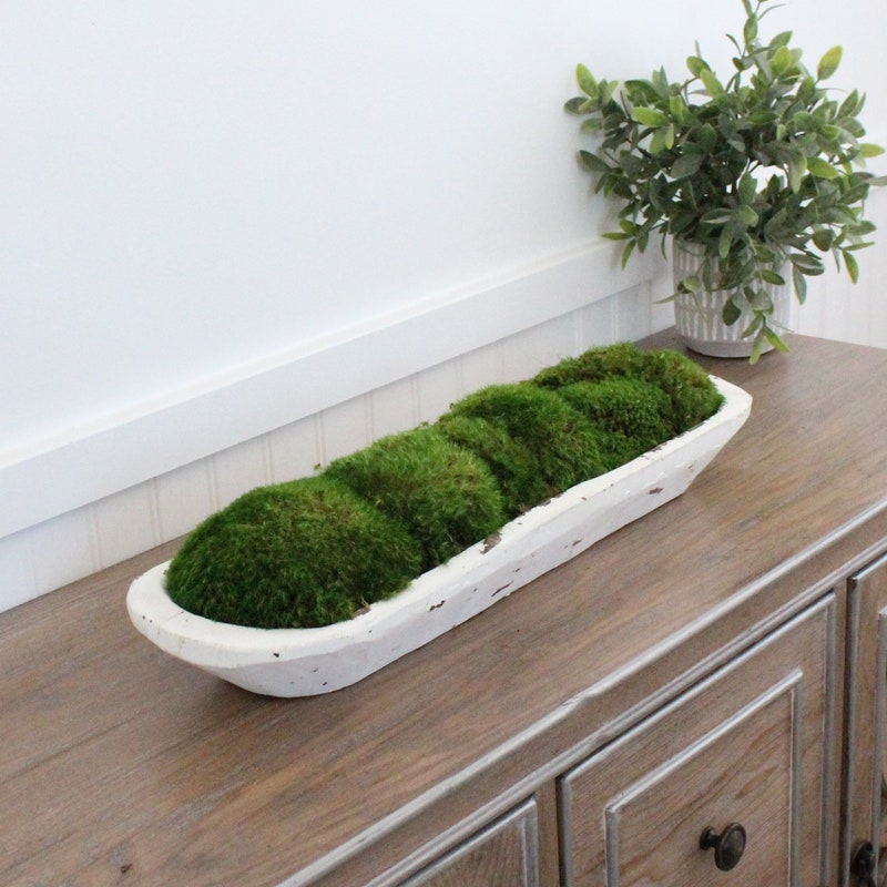 Preserved Moss Wall Art - Etsy