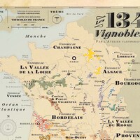 Cognac Map , Map of Cognac, Old School Map, Vineyards Poster - Etsy