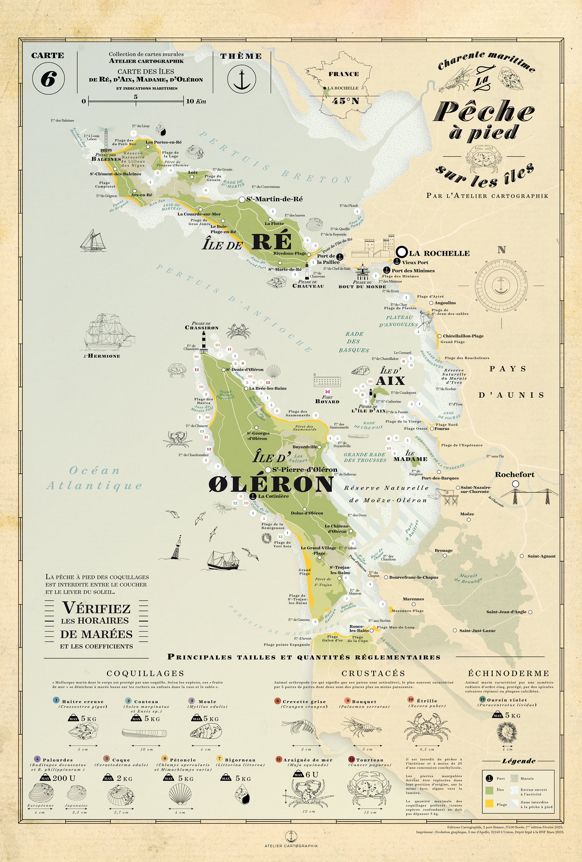 Vintage Map of France, Map of Regions, Old School Map, Old School ...